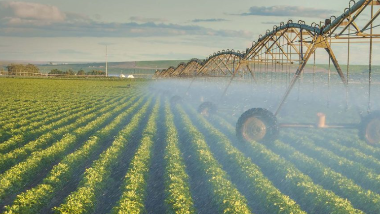 Sprijin pentru dezvoltarea sistemelor de irigare. Agricultorii pot ...